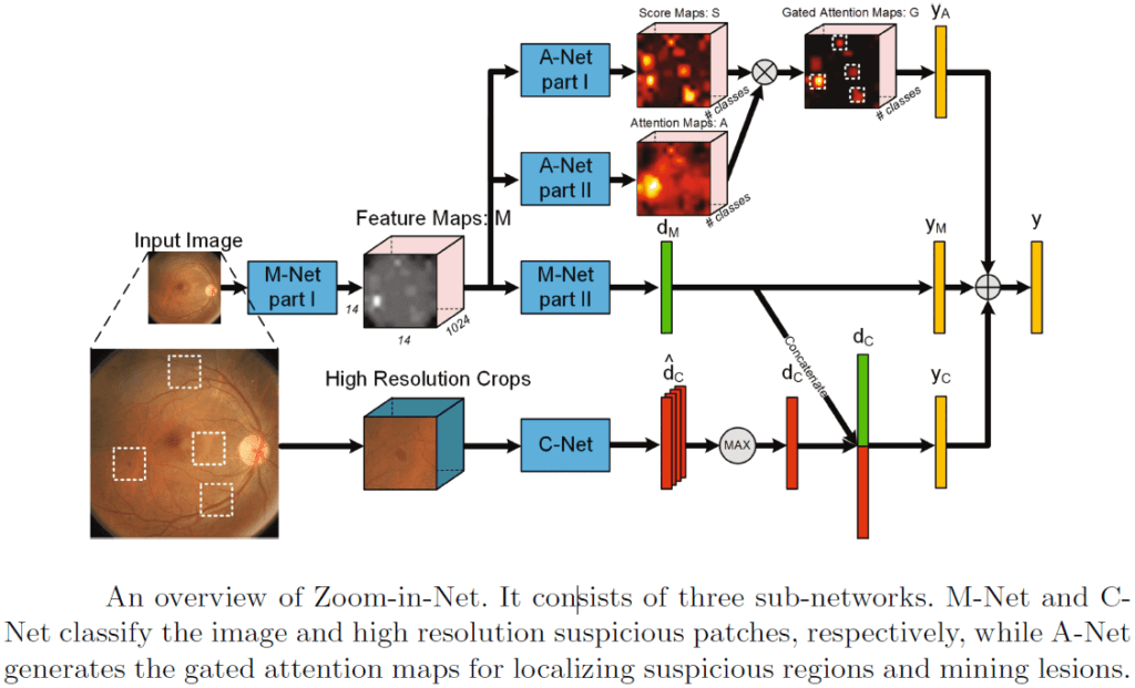 Explaining OCT Scans with their Mechanism and Benefits